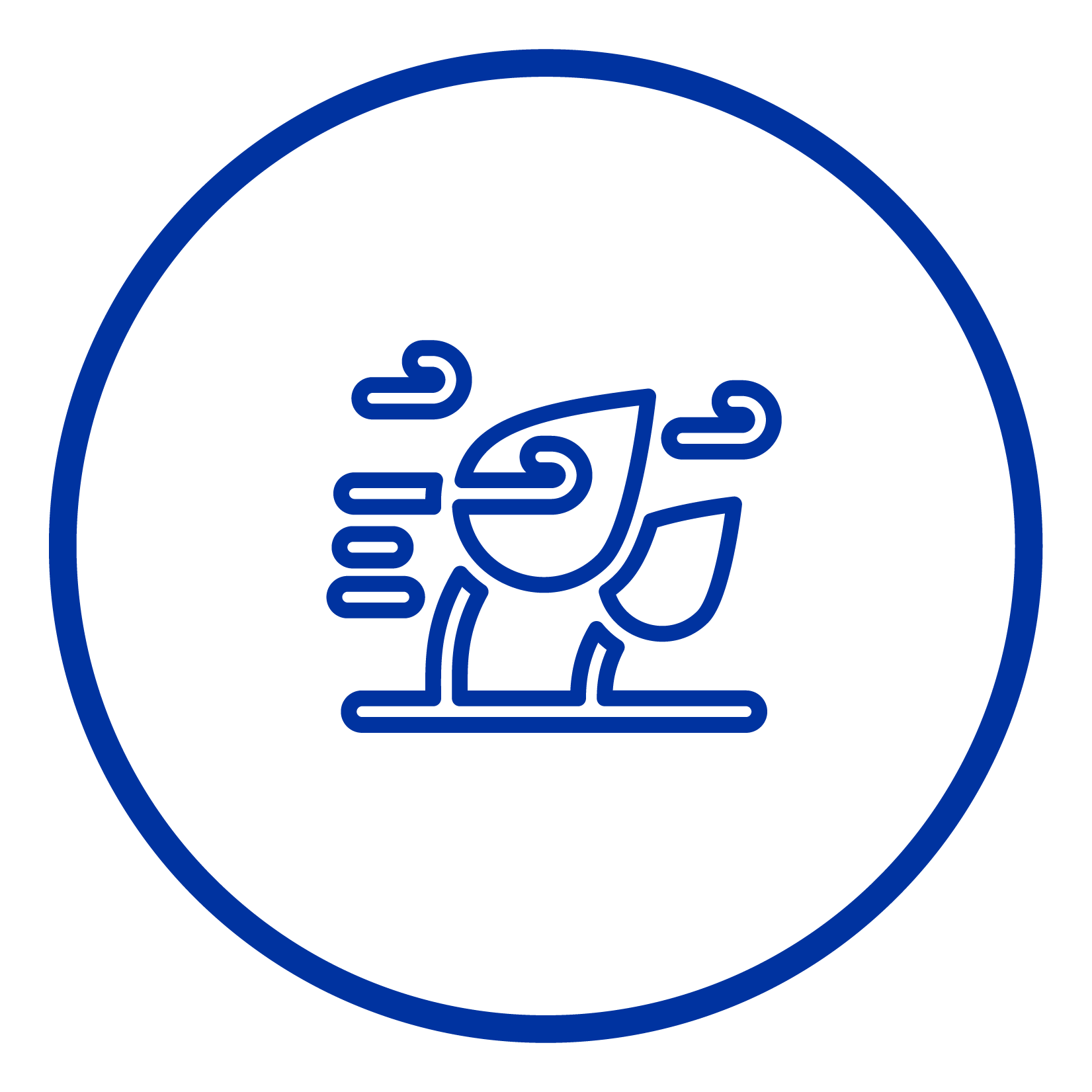 E-campus